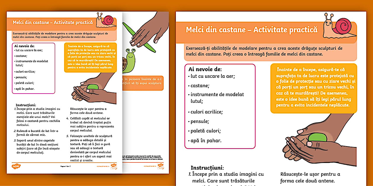 AVAP: Melci din castane – Activitate practică - Twinkl