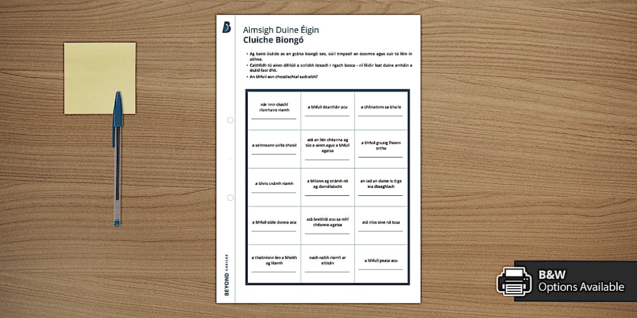 Aimsigh Duine Éigin Cluiche Biongó (teacher made) - Twinkl