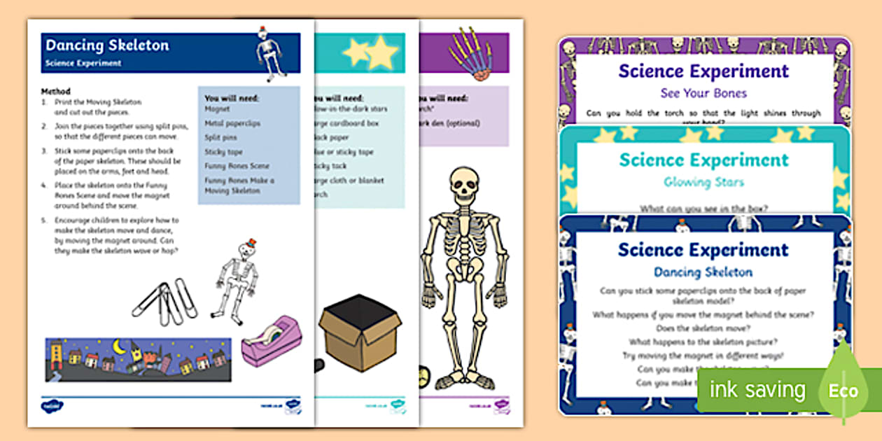 EYFS Science Experiments Resource Pack (teacher made)