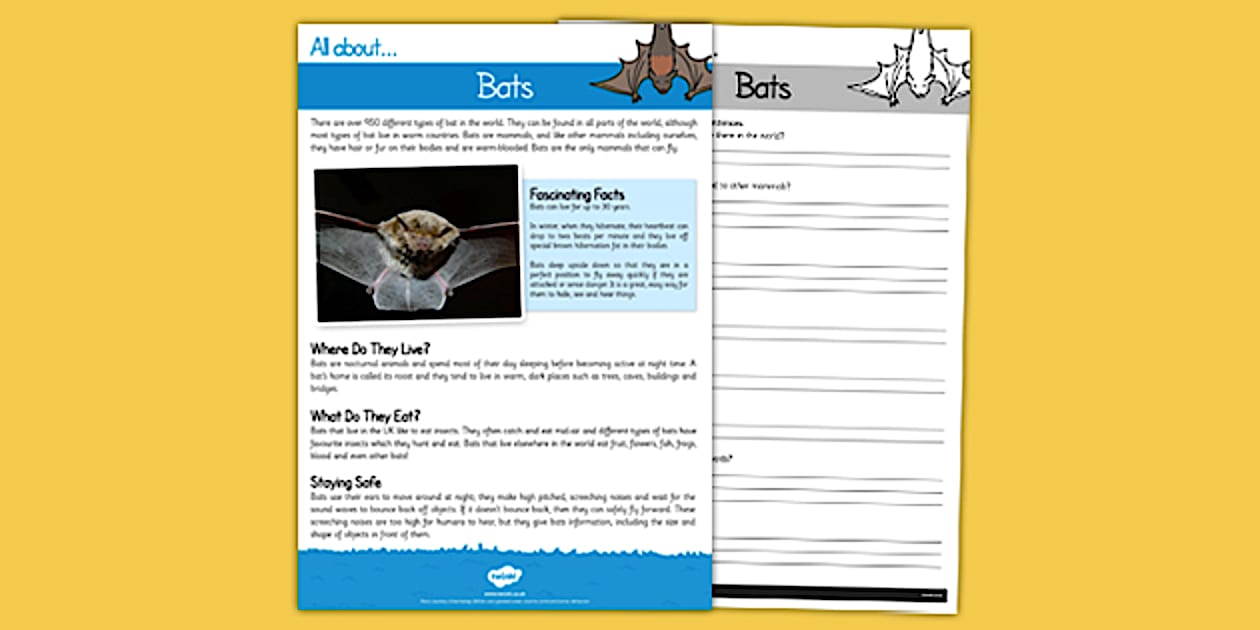 Bat Information for Children | Reading Comprehension Pack
