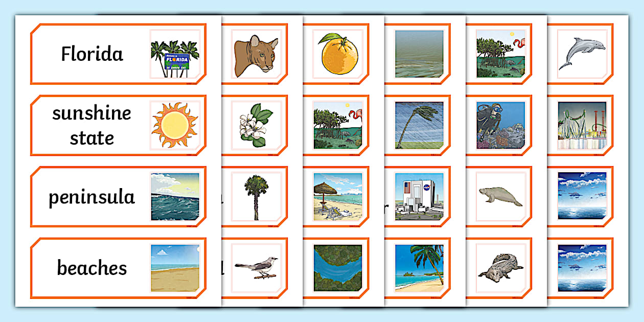 Florida Display Word Cards (teacher made) - Twinkl