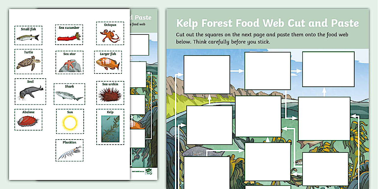 Kelp Forest Food Web - Cut and Stick Activity - South Africa
