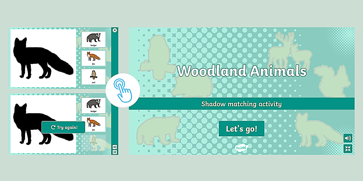 Woodland Animals Interactive Shadow Matching Game - Twinkl