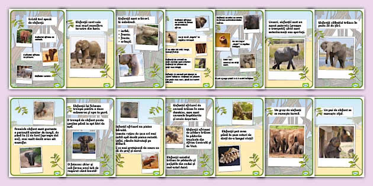 Elefantul: Planșe – Activitate de limbaj și comunicare