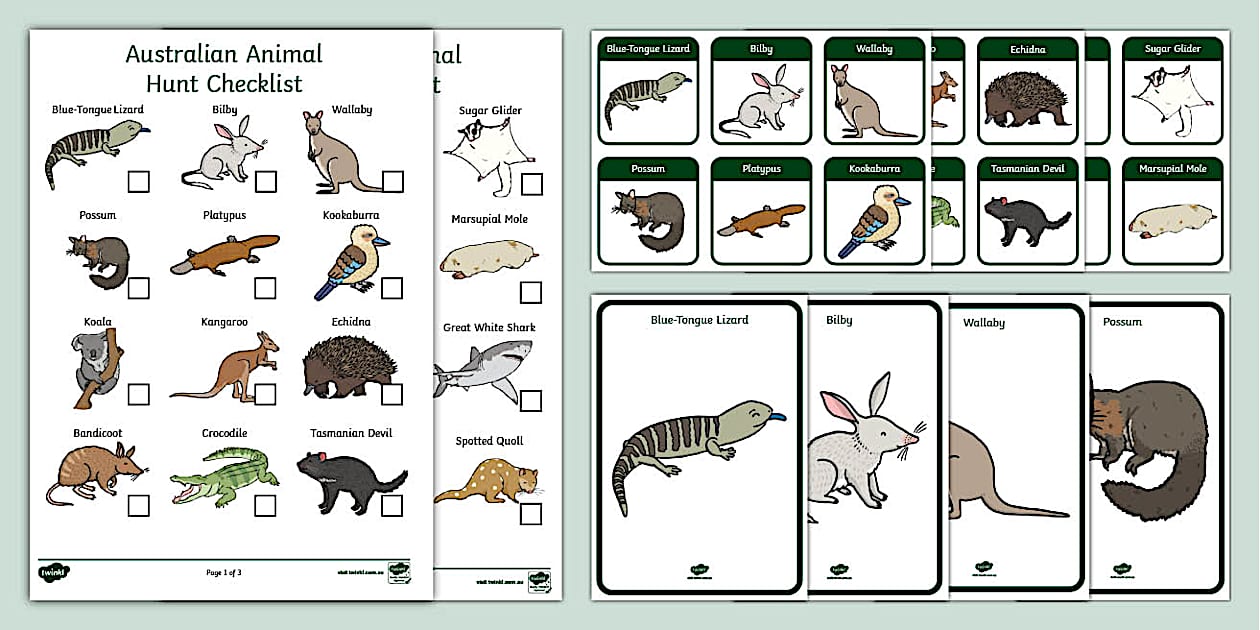 Australian Animal Illustrations Scavenger Hunt | Resources