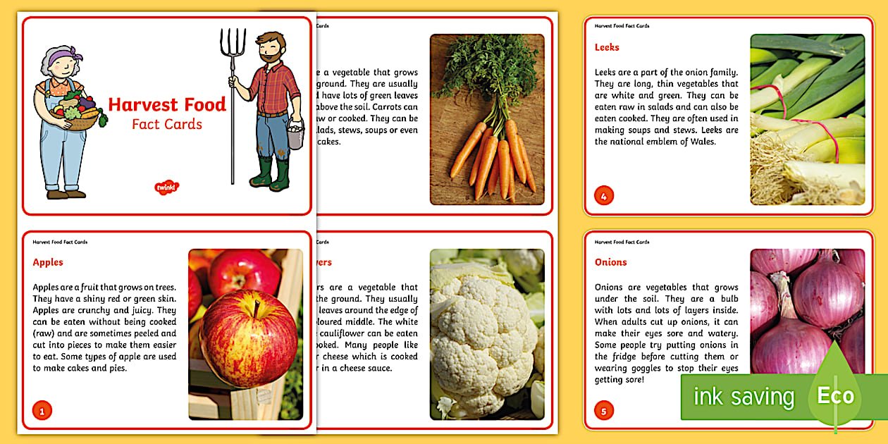 Harvest Food Fact Cards (Teacher-Made) - Twinkl