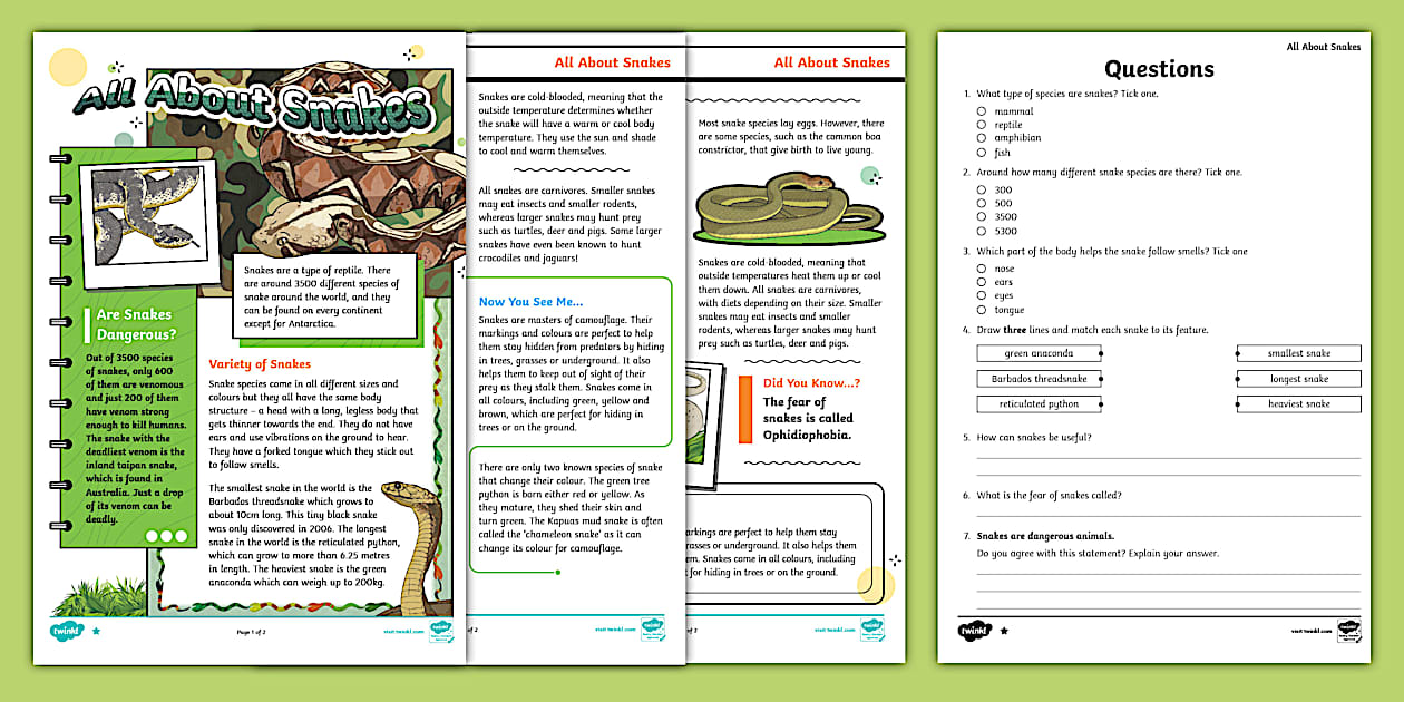 LKS2 All About Snakes Differentiated Reading Comprehension Activity