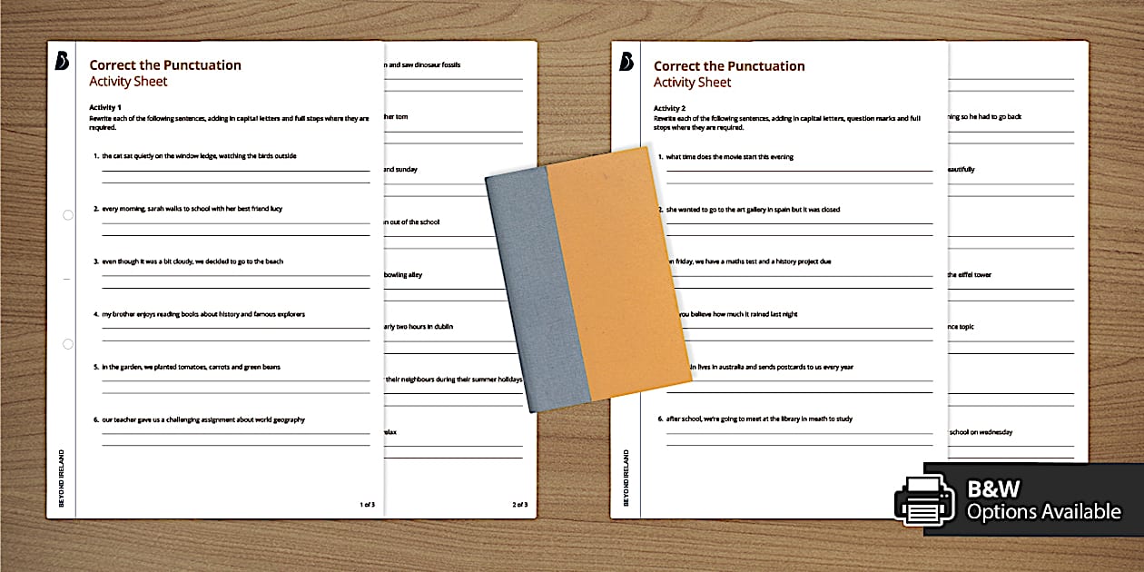 Correct the Punctuation Worksheet