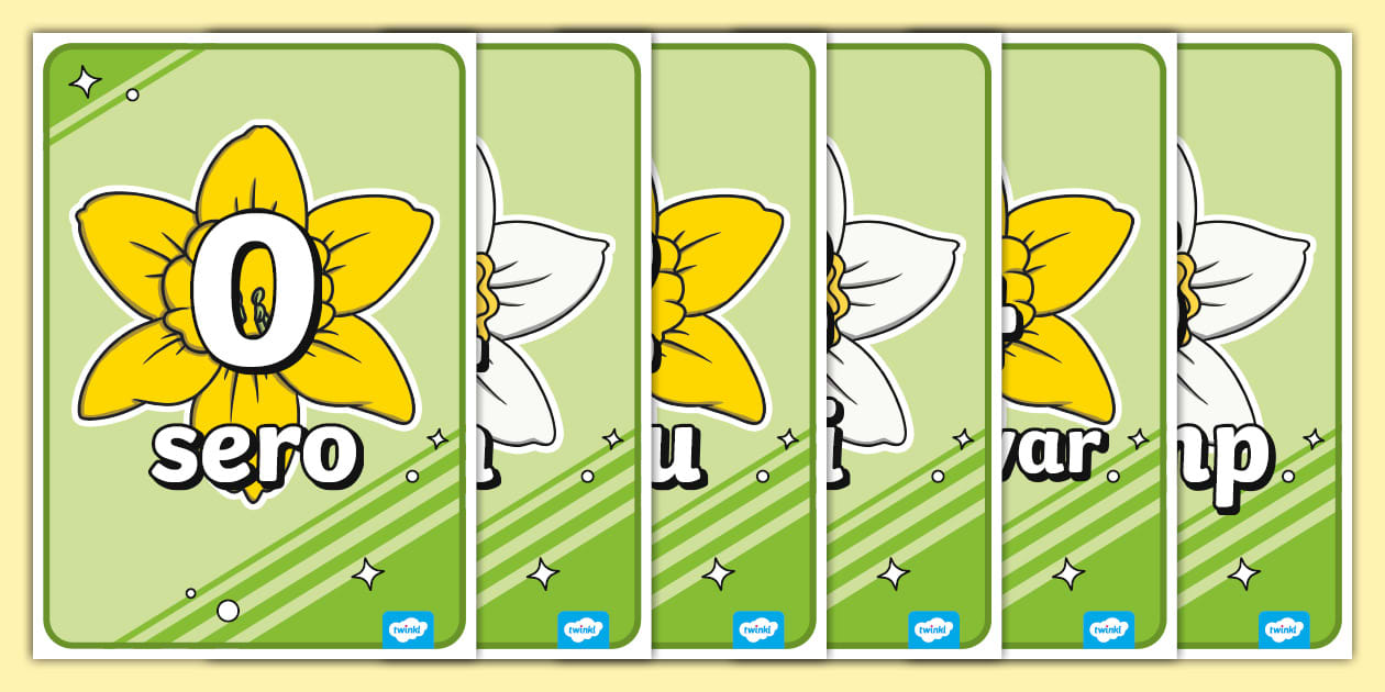 Welsh Numbers 0-20 on Daffodils (teacher made) - Twinkl