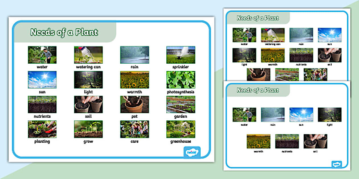 Need of a Plant Word Mat