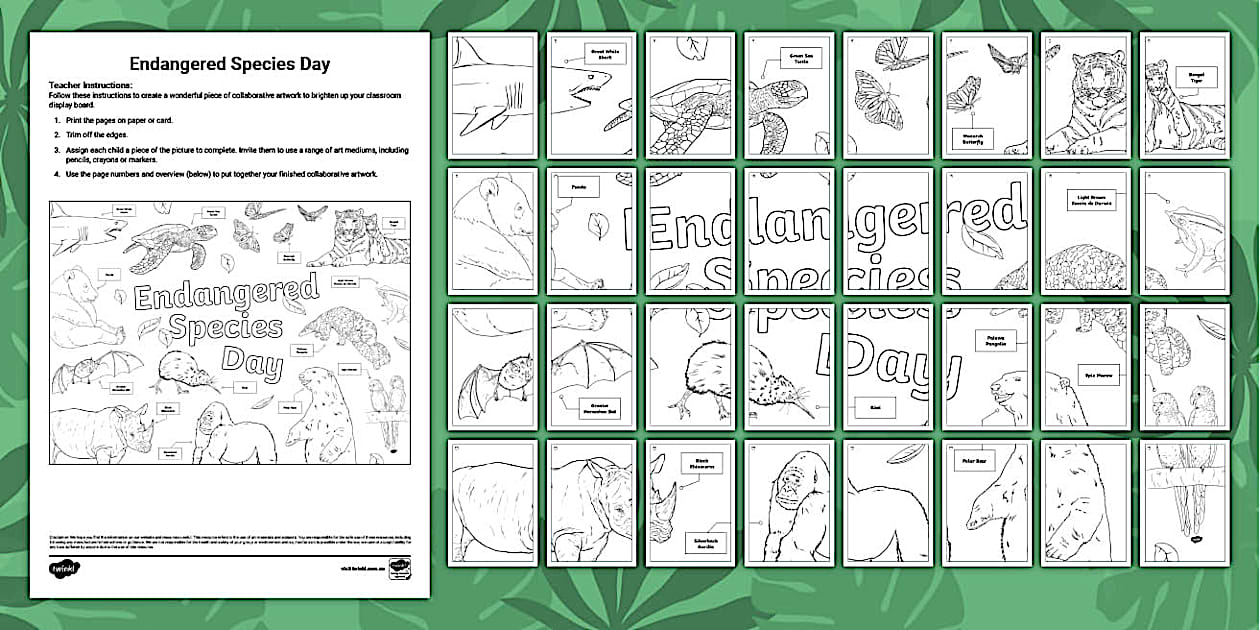 Endangered Species Day Collaborative Colouring - Twinkl