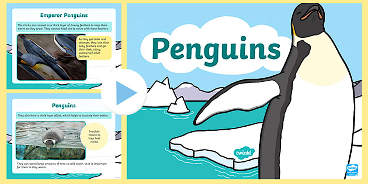 Penguin Quiz PowerPoint Presentation for Kids | Twinkl USA