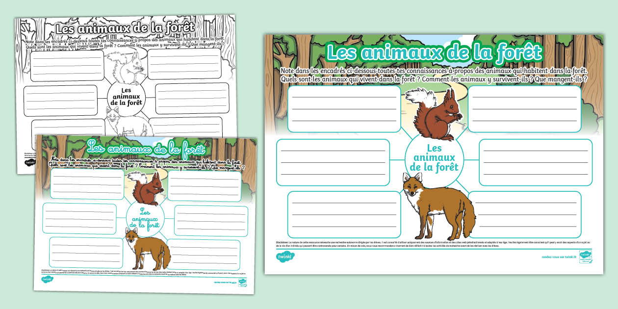 Carte Mentale : Les animaux de la forêt - Twinkl