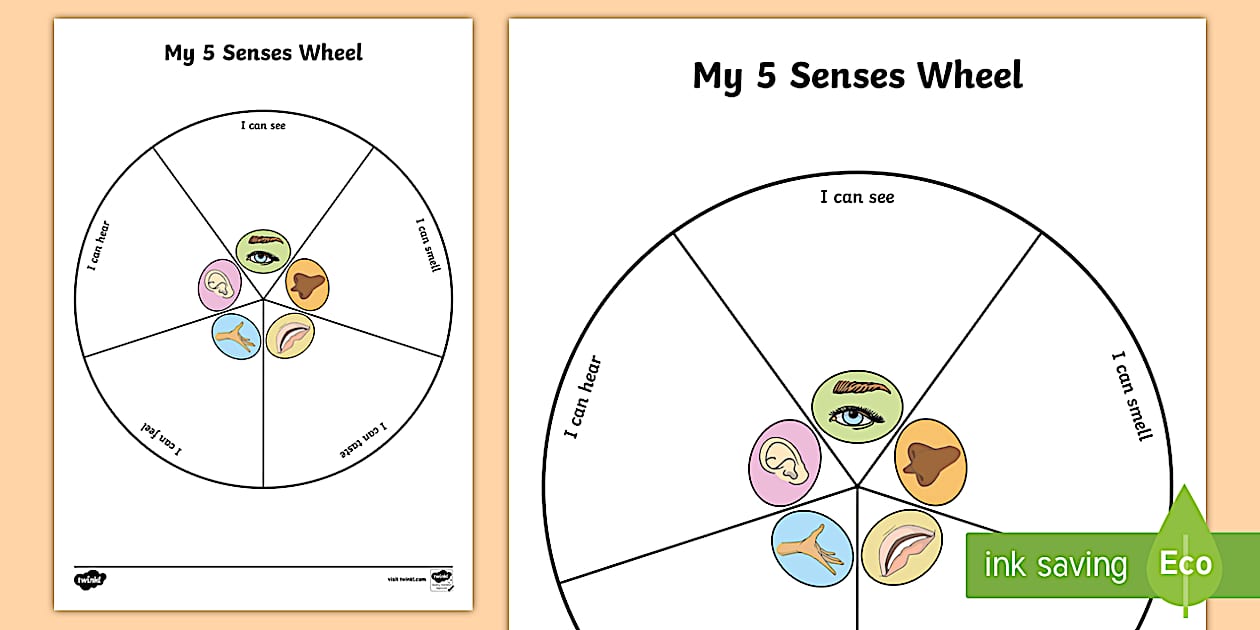 Five Senses Wheel Worksheet | Teaching Resource - Twinkl