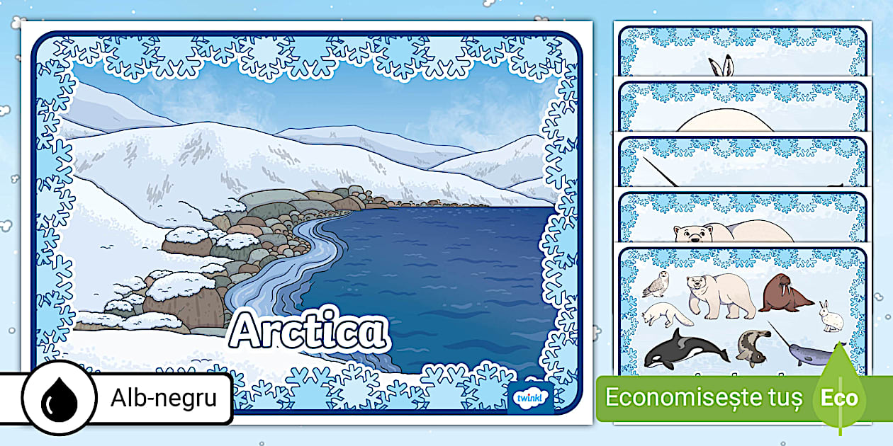 Curiosul urs polar: Arctica – Planșe (teacher made)
