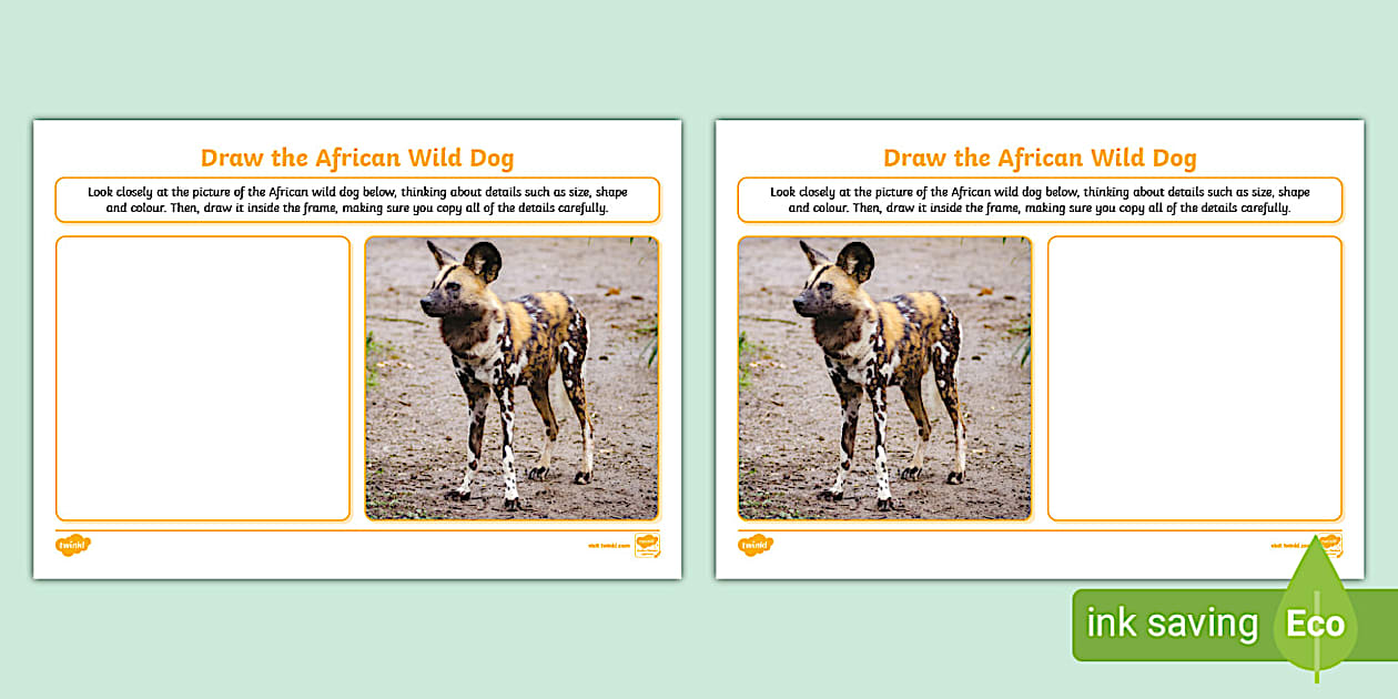 Draw the African Wild Dog Art Activity (teacher made)