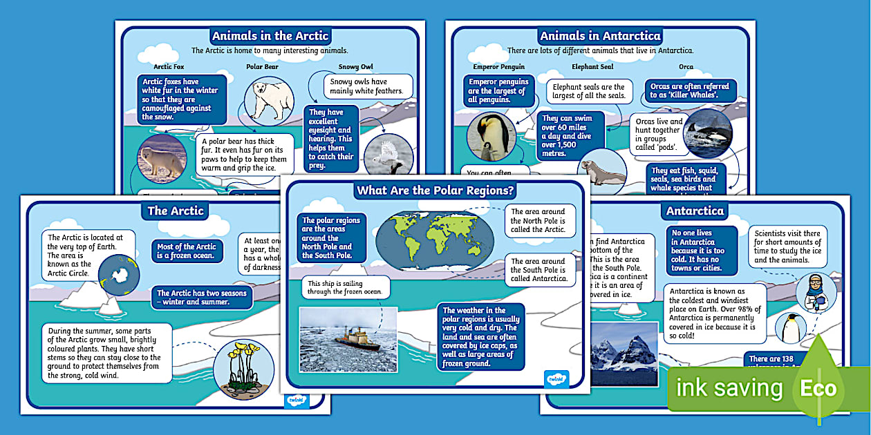 Black and White EYFS All About Polar Regions Fact Files