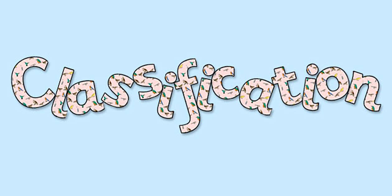 'Classification' Display Lettering - Twinkl