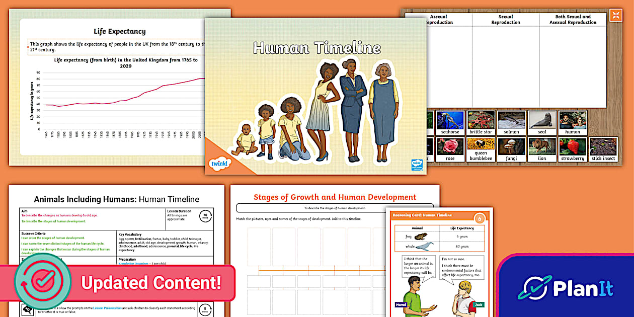 Science: Human Life Cycle Lesson Plan | Lesson 6 | Year 5