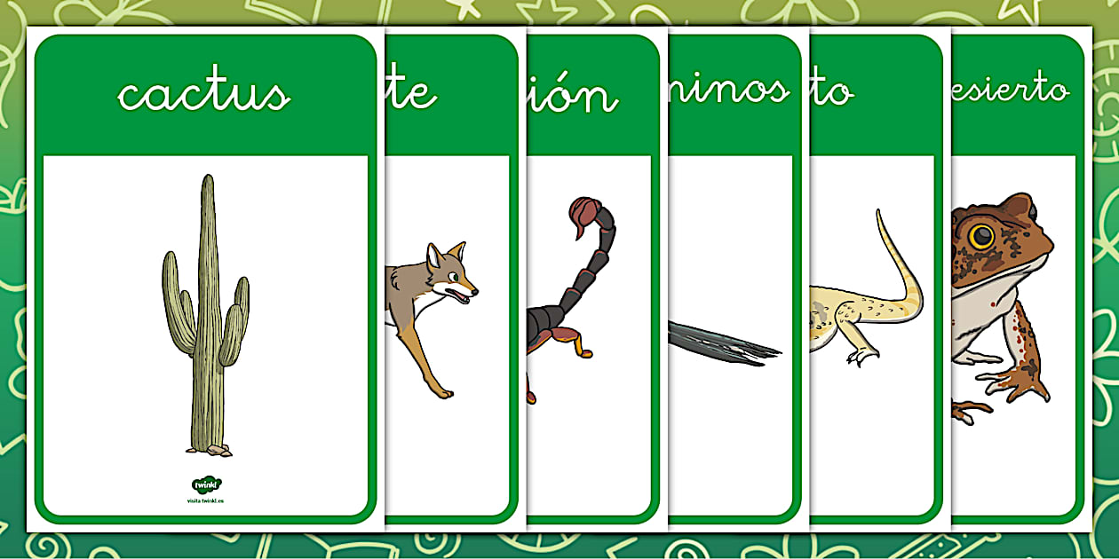 Pósters: Hábitat del desierto (teacher made) - Twinkl