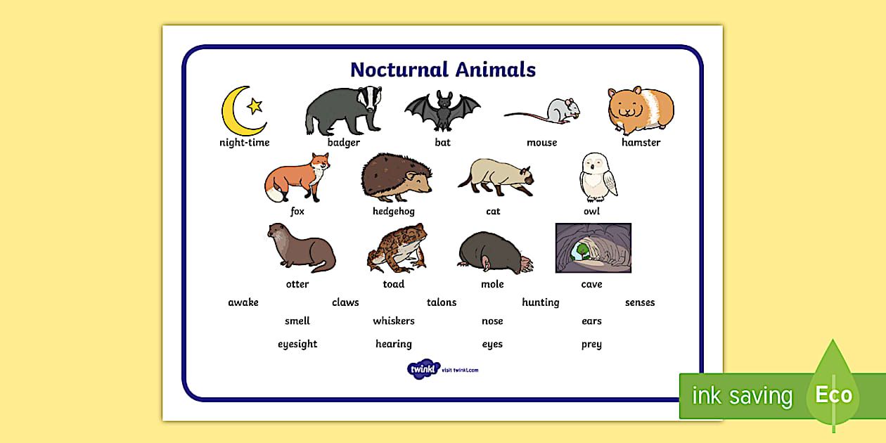 Editable Nocturnal Animals Word Mat (l'enseignant a fait)
