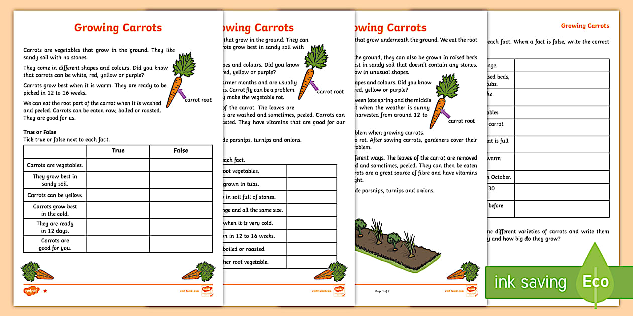 Ages 5-7 Growing Carrots Differentiated Worksheets - Twinkl