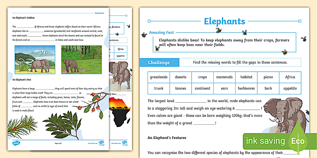 Cloze Procedure About Elephants Worksheet,elephants - Twinkl