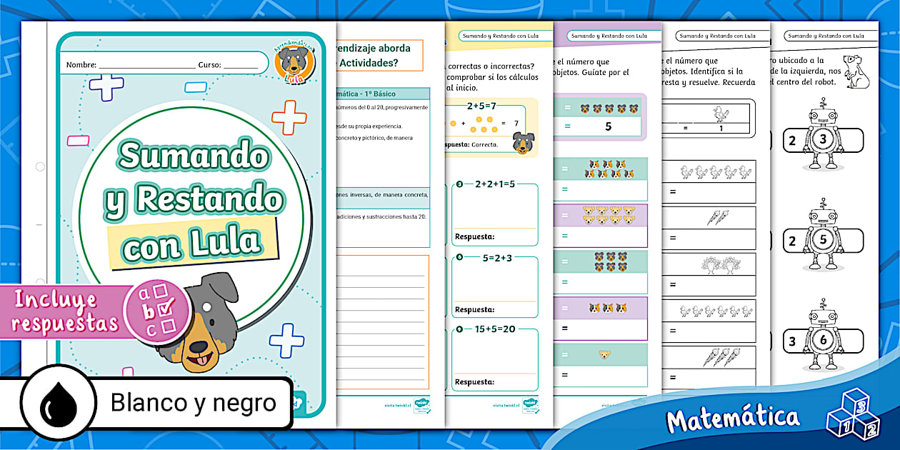 actividad | sumar | restar | matemática | Lula | cuadernillo