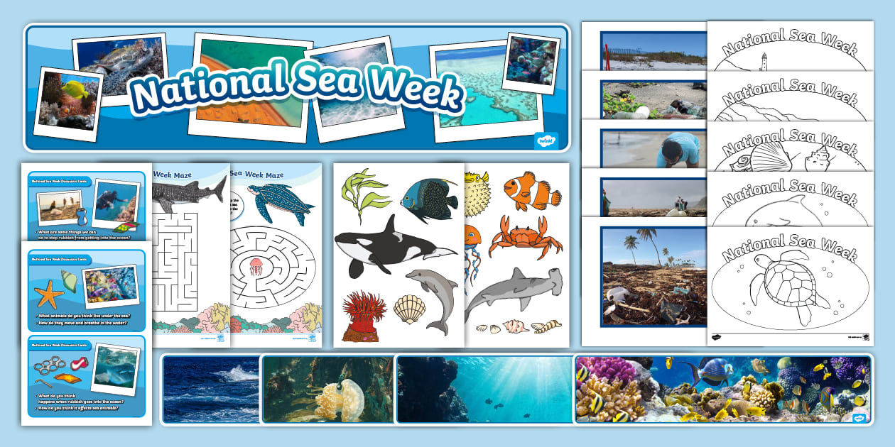 FREE! - National Sea Week Resource Pack (Teacher-Made)