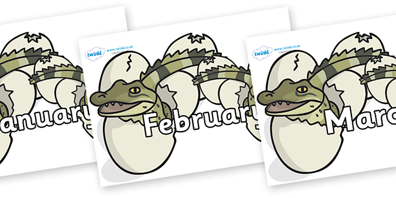 Months of the Year on Hatching Aligators (Teacher-Made)