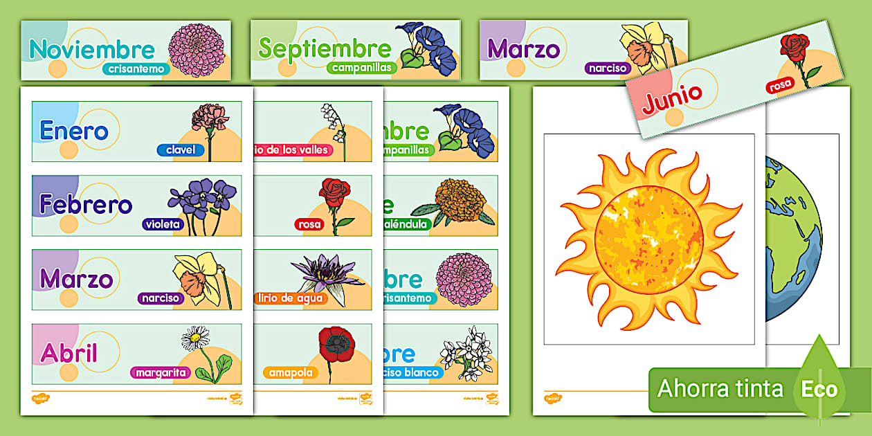 Calendario: meses del año con temática floral - Twinkl