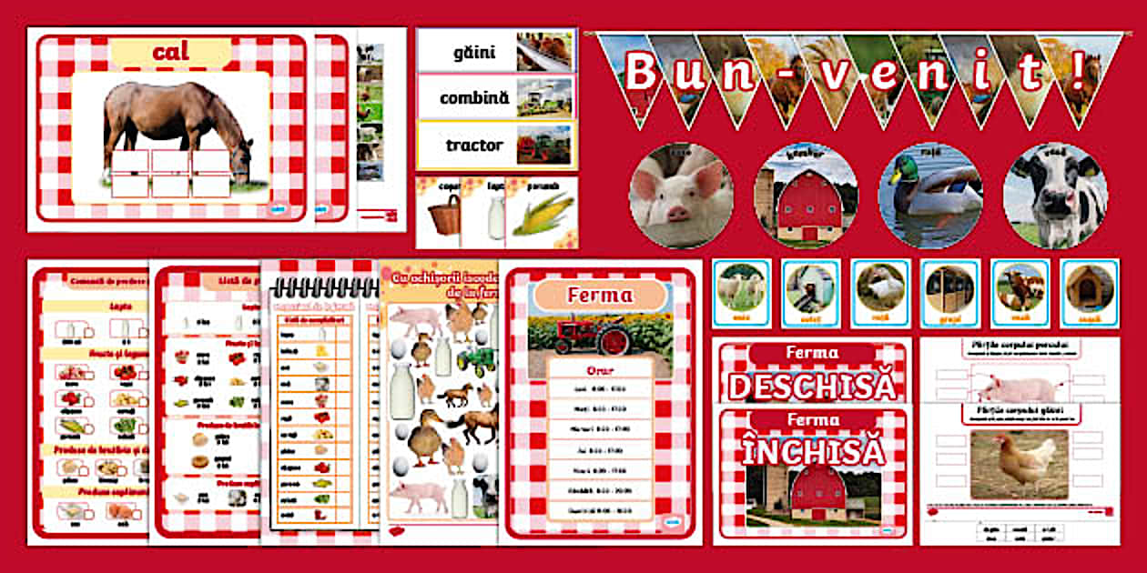 Ferma: Joc de rol – Pachet cu resurse - Twinkl