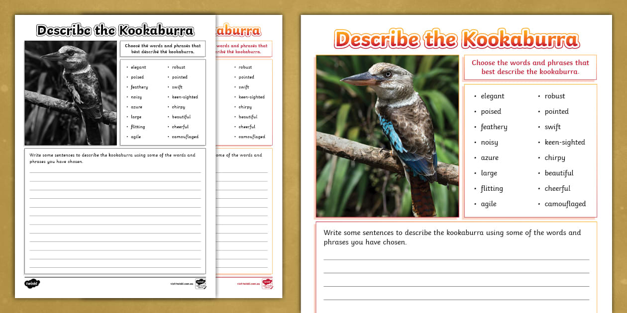 Describe the Kookaburra Worksheet (Teacher-Made) - Twinkl