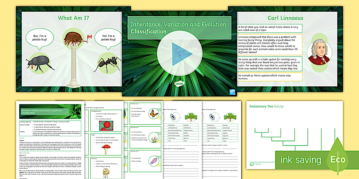 AQA Inheritance, Variation and Evolution Lesson 15: Classification