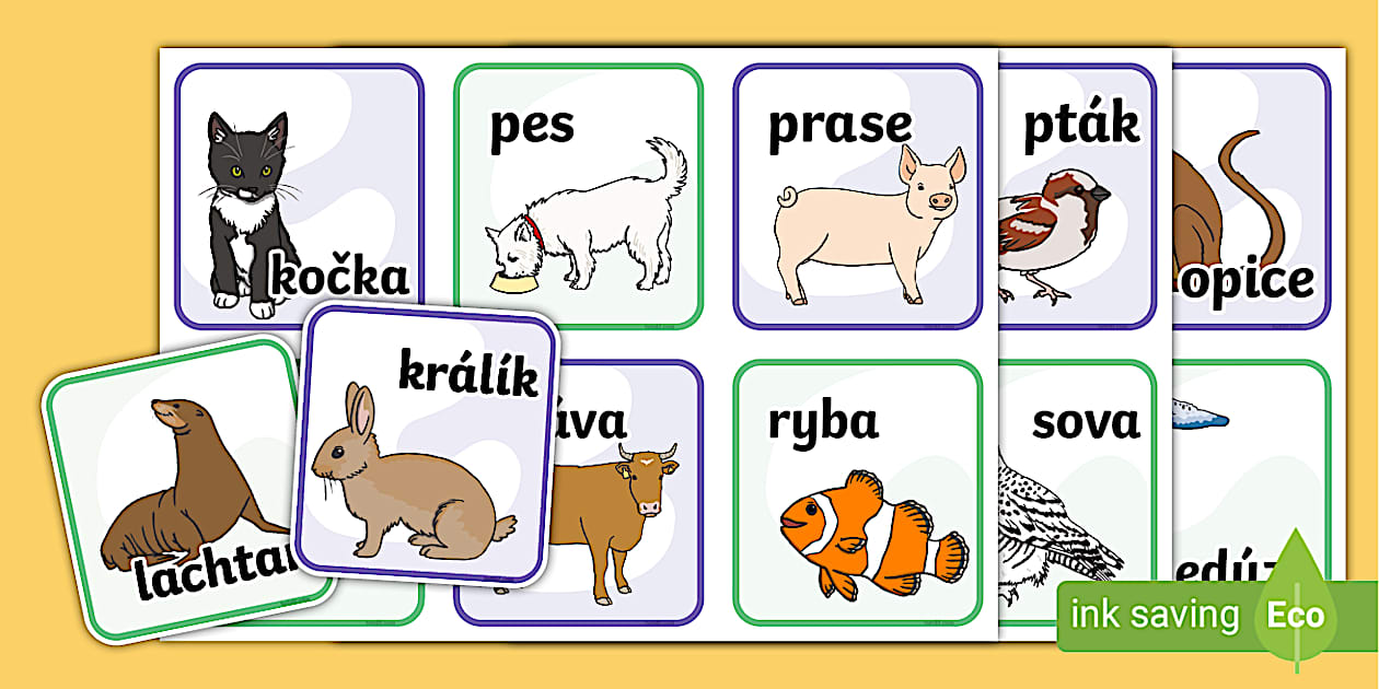 Obrázkové karty k procvičování - Zvířata - Twinkl