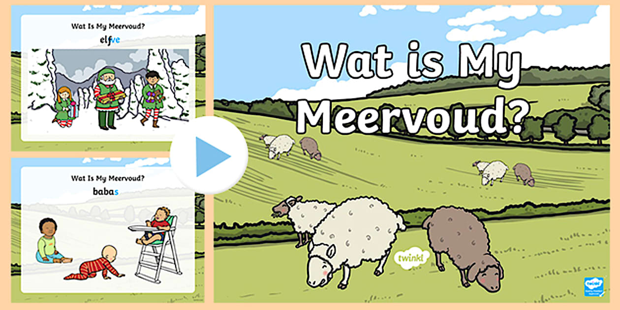 Wat Is My Meervoud Powerpoint (teacher made) - Twinkl