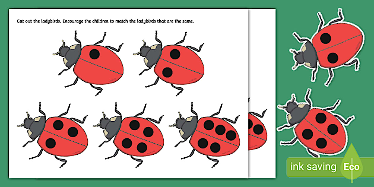 👉 Ladybird Activity | Match the Spots | Counting | Twinkl