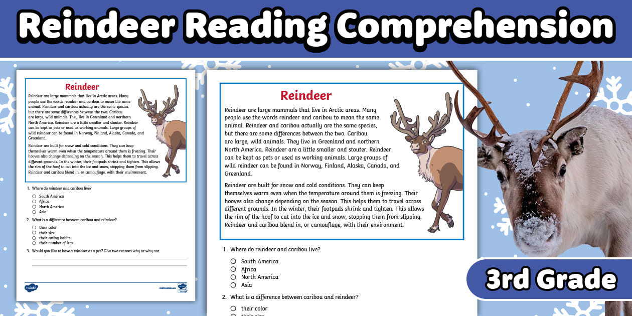 Third Grade Reindeer Reading Passage Comprehension Worksheet