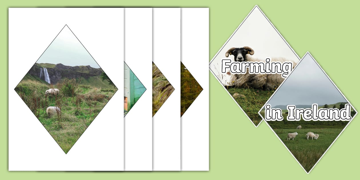 Farming in Ireland Rhombus Display shapes (Teacher-Made)