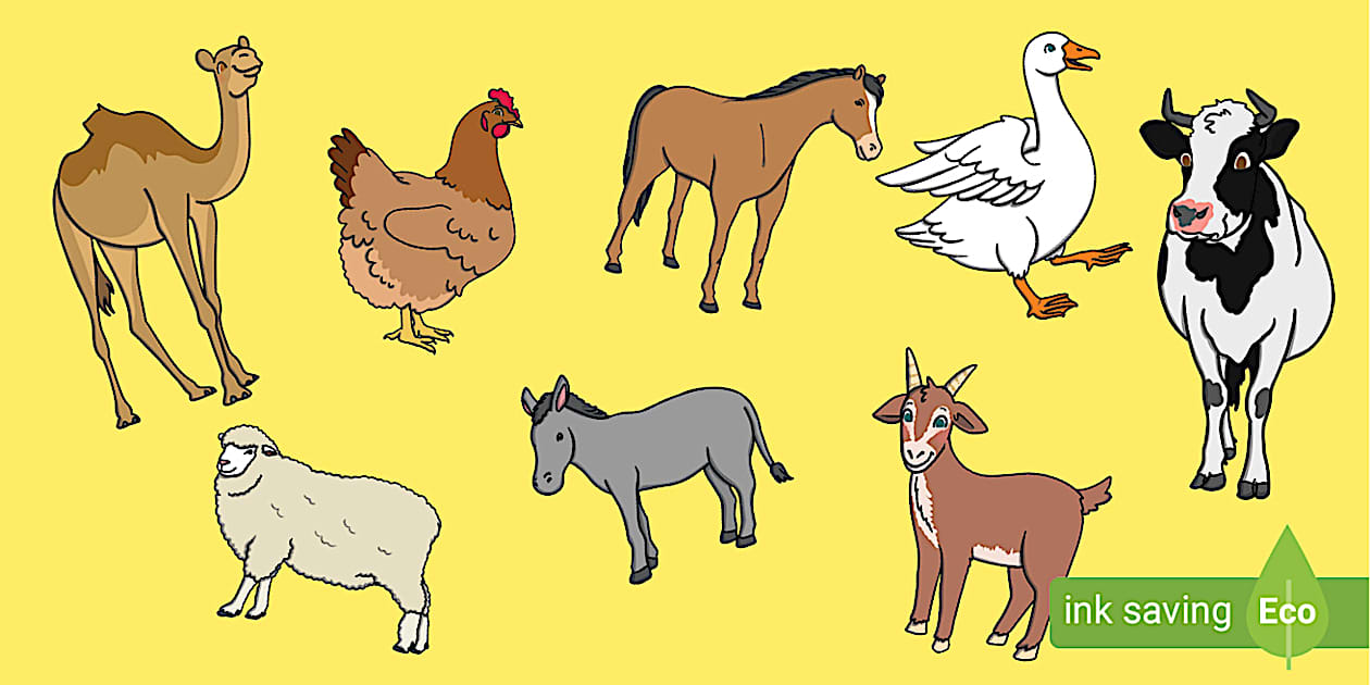 UAE Farm Animals Cut-Outs (teacher made) - Twinkl