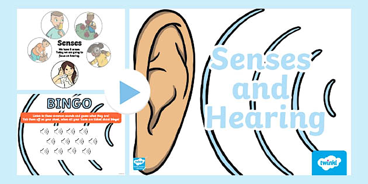 CfE, Science Senses Hearing PowerPoint Pack (teacher made)