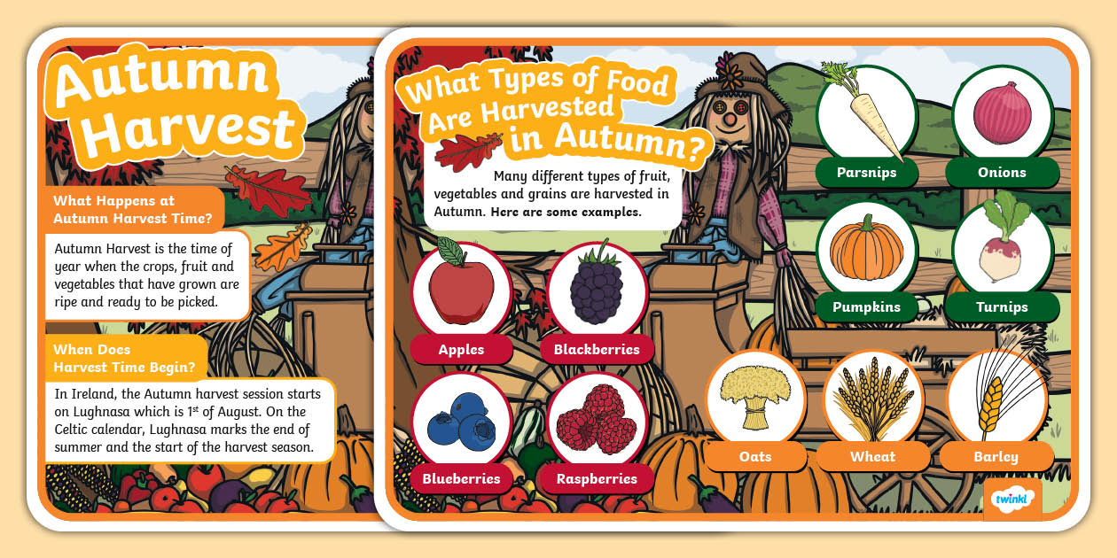 Autumn Harvest in Ireland (teacher made) - Twinkl