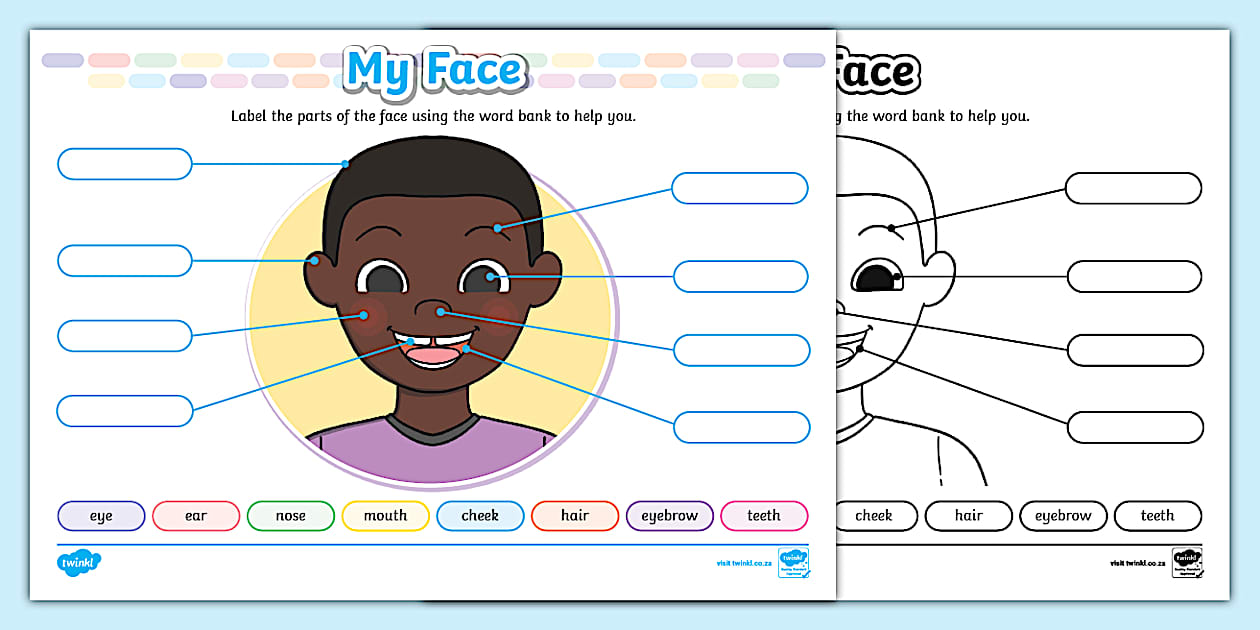 Label the Parts of the Face Worksheet (teacher made)