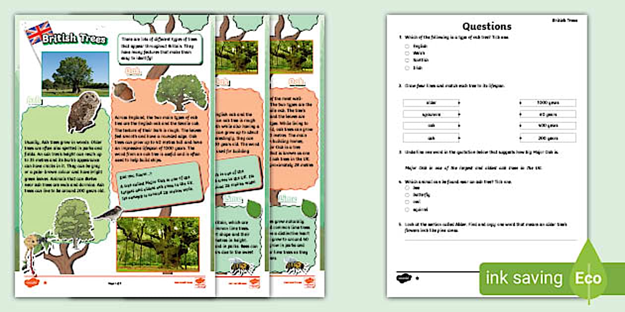 LKS2 British Trees Reading Comprehension Activity - Twinkl