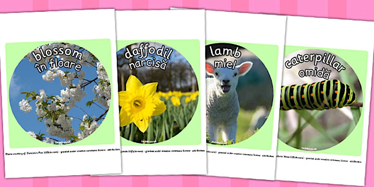 Spring Display Photo Cut Outs Romanian Translation - seasons