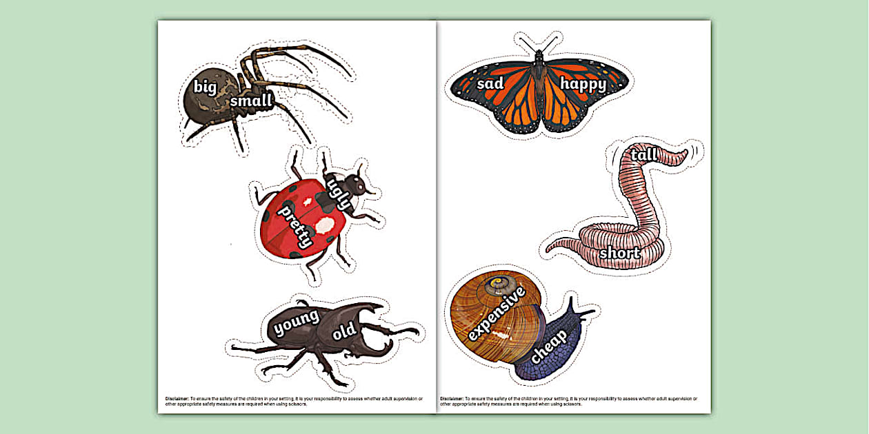 Insect Antonyms Display Cut-Outs (teacher made) - Twinkl