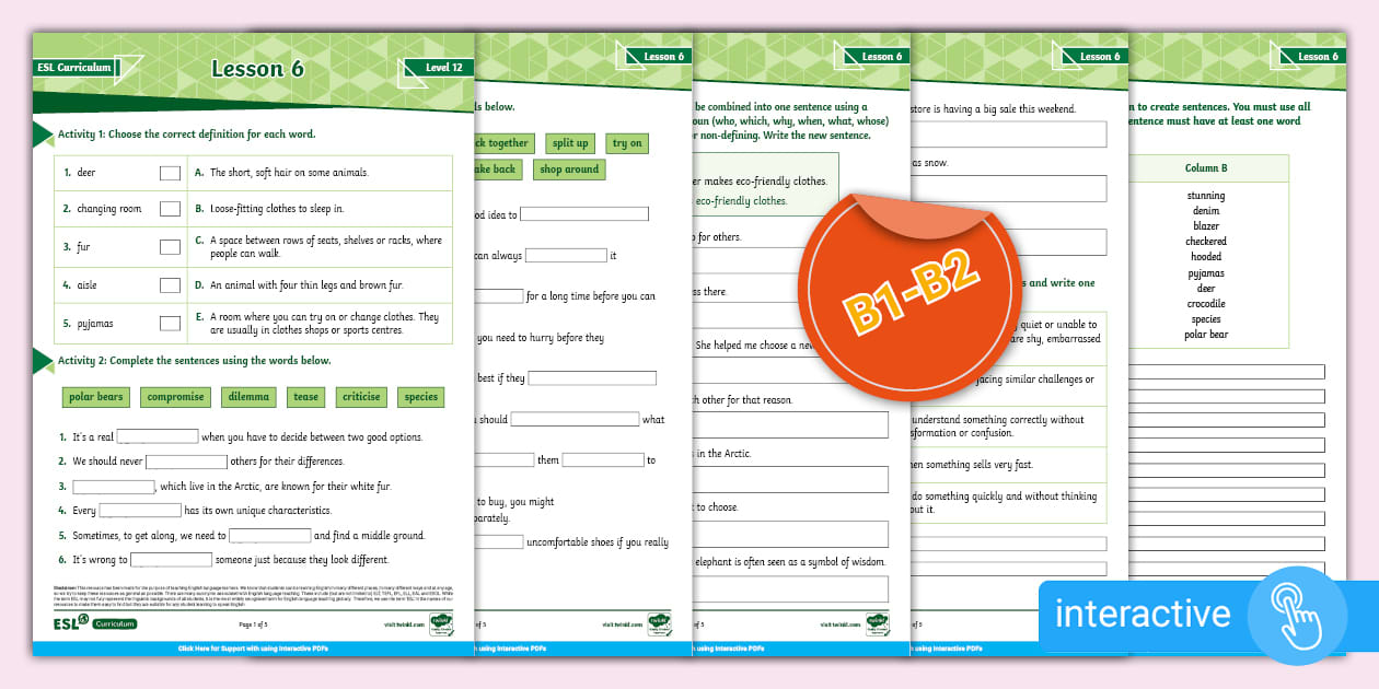ESL Curriculum Level 12, Lesson 6 Interactive Activity Sheet