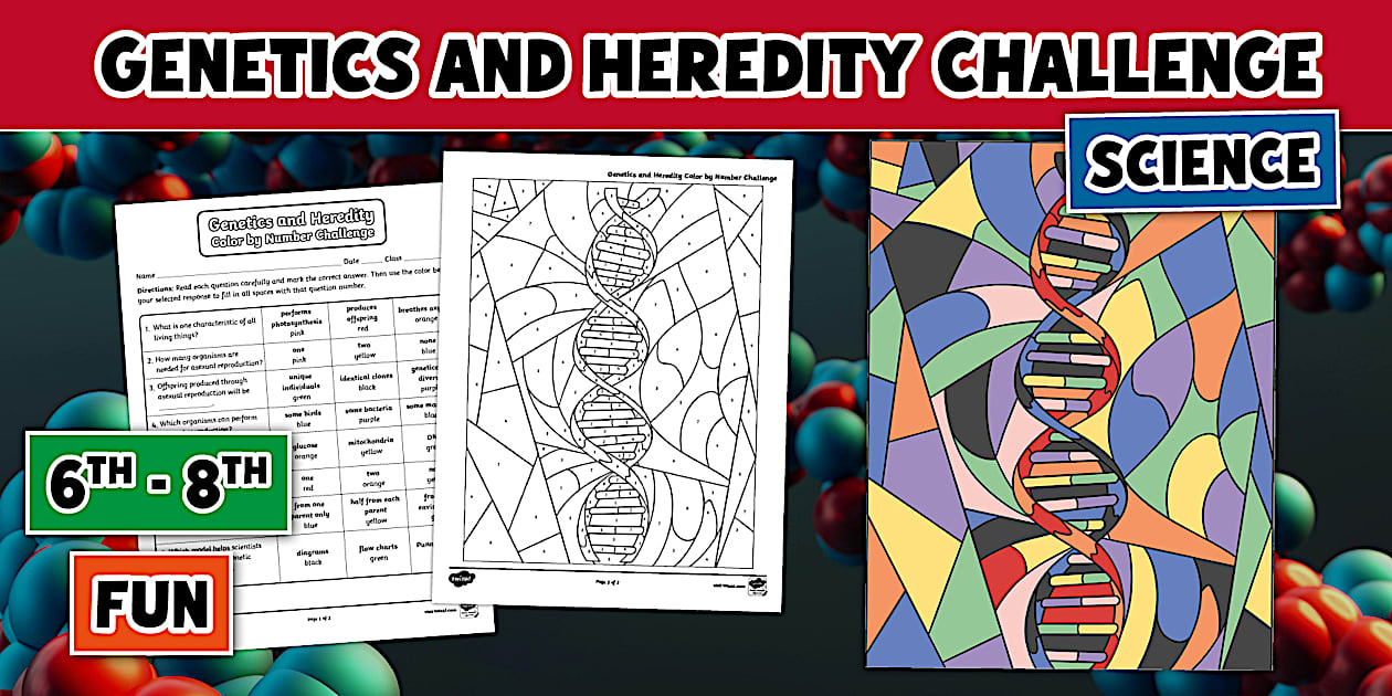 Color by Number Genetics and Heredity Challenge | Twinkl USA