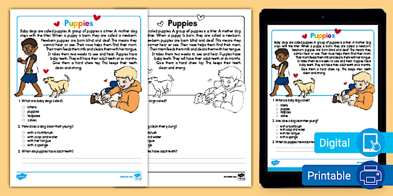 Puppy Reading Comprehension Worksheet for Kids | Twinkl USA