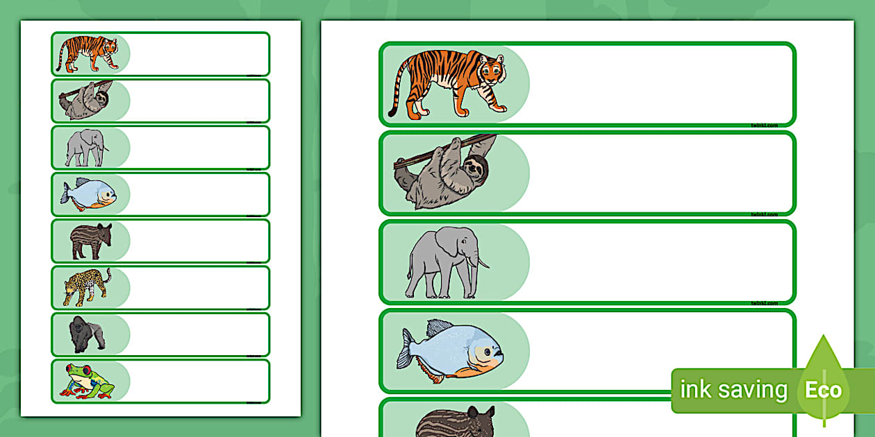Jungle and Rainforest Themed Editable Gratnells Tray Labels
